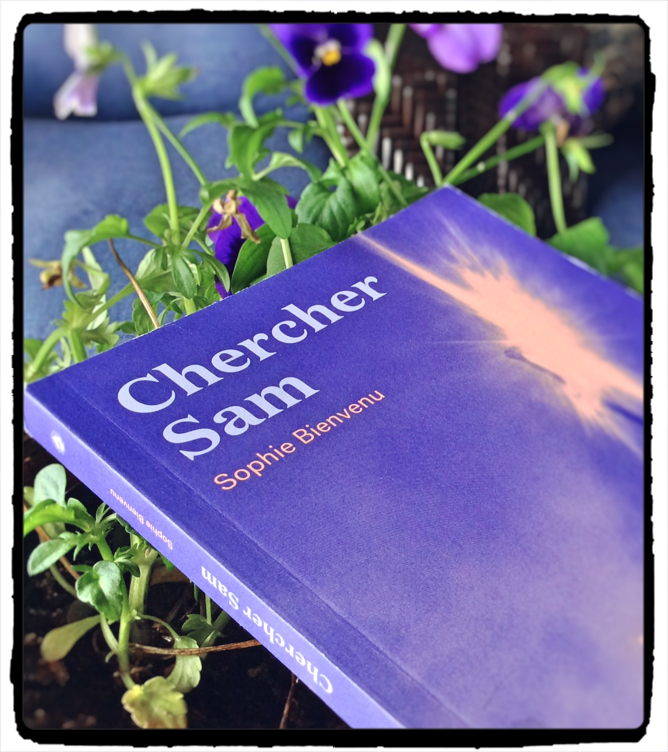 Madame lit Chercher Sam – Madame lit des livres québécois et d'ailleurs ...